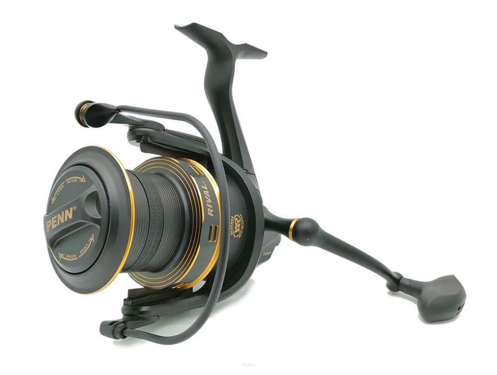 Penn RIVAL Gold 6000 Long Cast Kołowrotek Karpiowy - sklep wędkarski TROTKA
